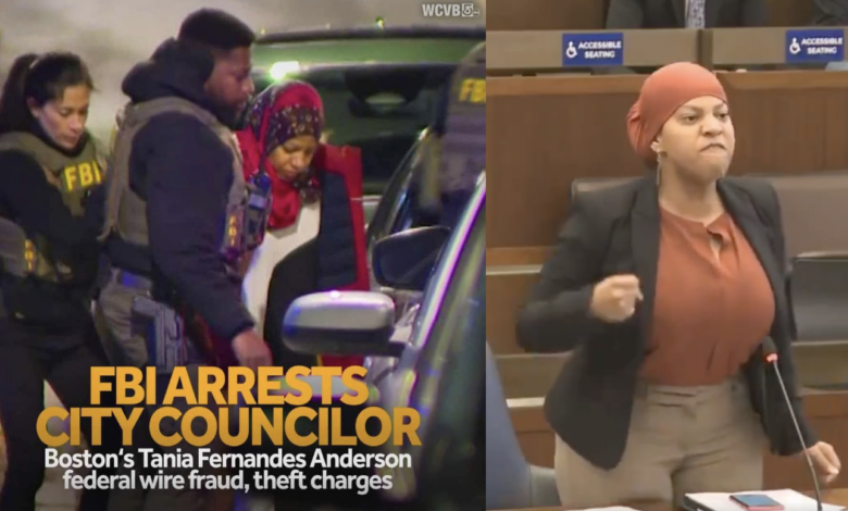 Boston City Councillor Tania Fernandes Anderson, Who Married Convicted ...